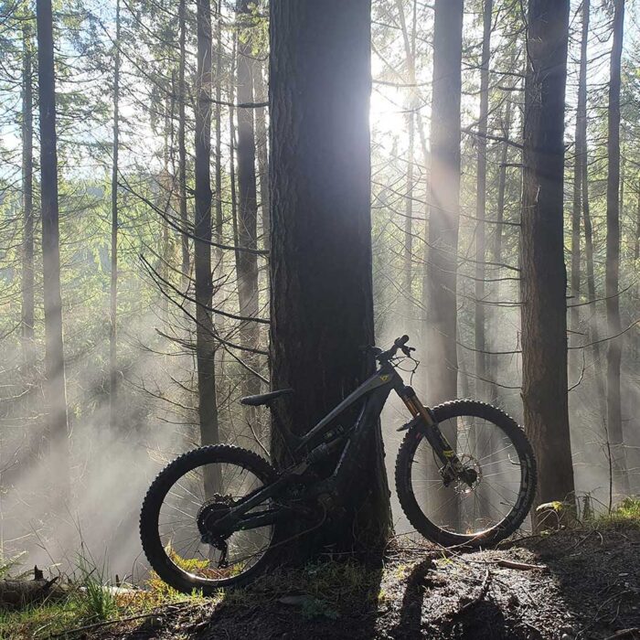 Our Gallery Carbon Electra